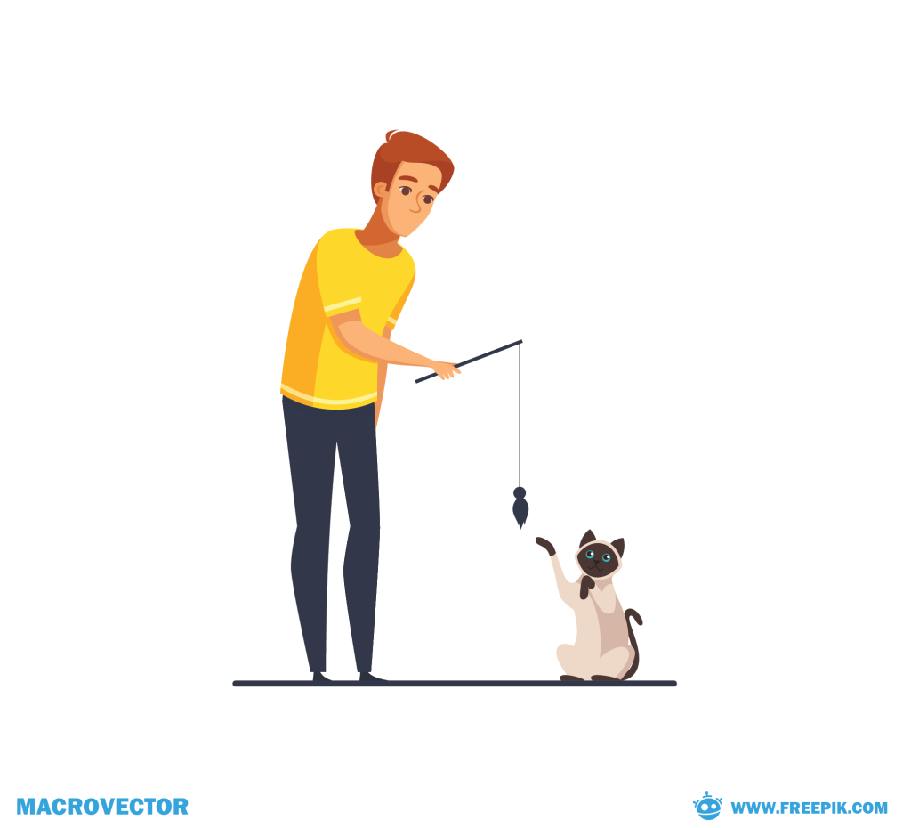 Sistem Reproduksi Kucing » VETMEDICINAE