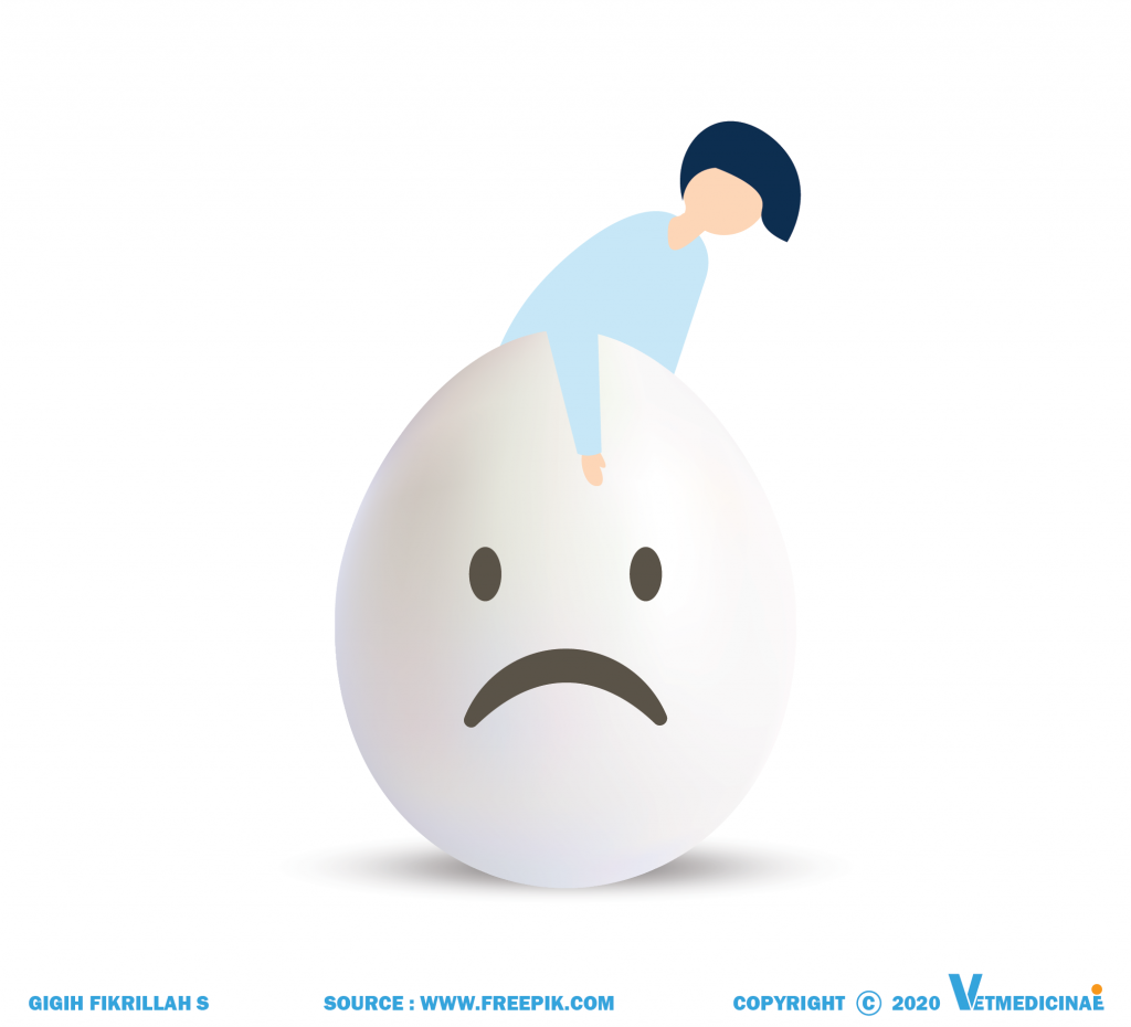 Penyakit Newcastle Disease Atau Tetelo Pada Ayam » VETMEDICINAE