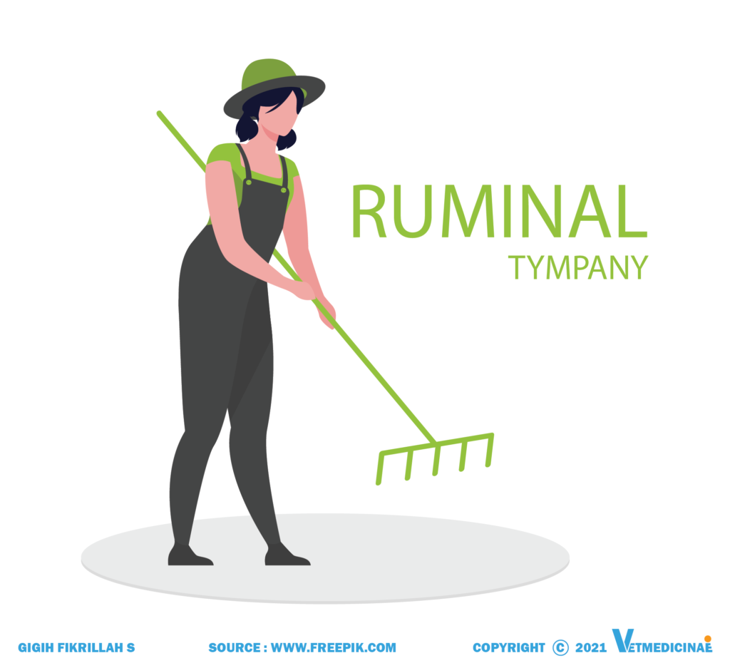 Sapi » VETMEDICINAE