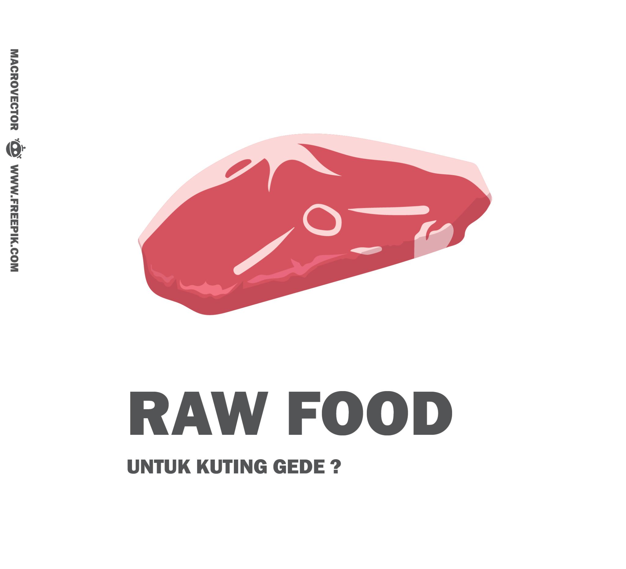 Sistem Reproduksi Kucing – VETMEDICINAE